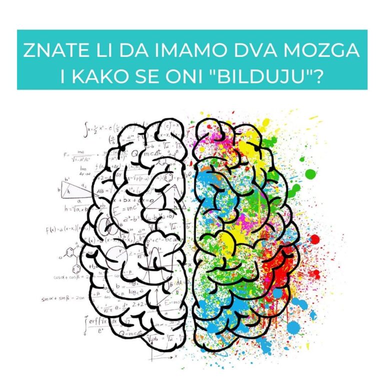 VAŠA DVA MOZGA I KAKO DA IH “BILDUJETE”? - Dr Vesna Danilovac